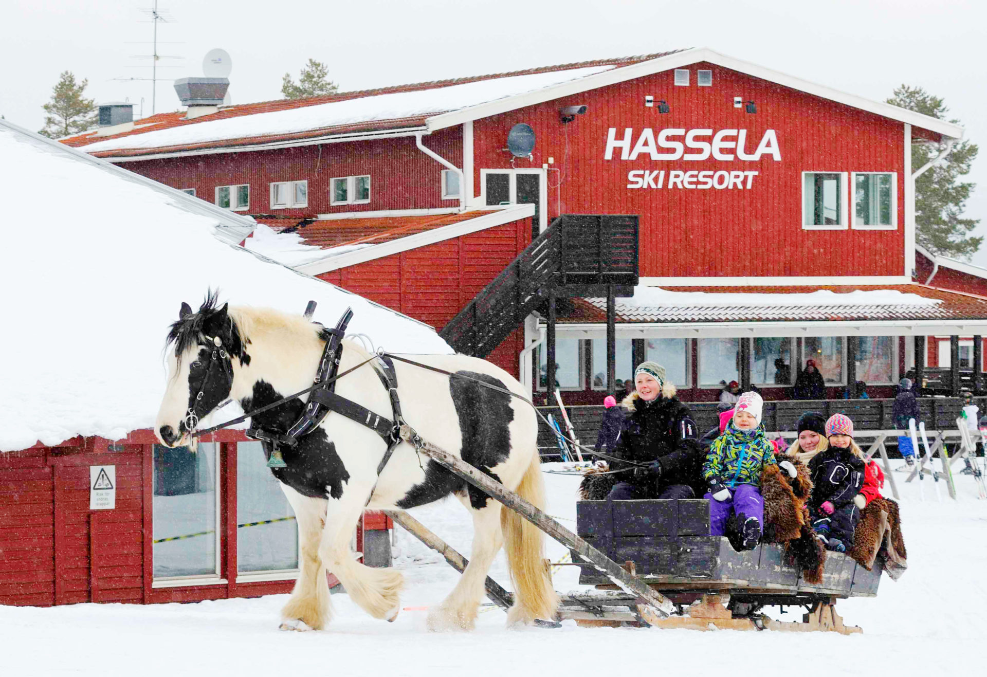 Häst och Slädtur | Hassela Ski Resort
